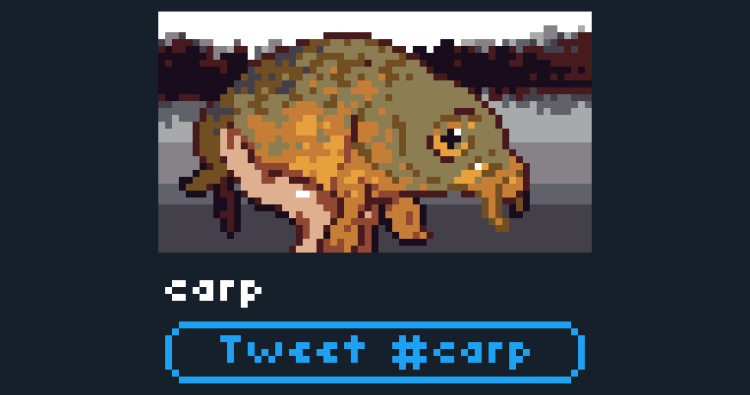 carp - Pixel Parmesan